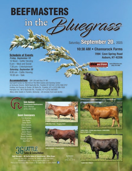 9/20/25 Channarock Farm & Mason Cattle Co. - Beefmasters in Bluegrass ...